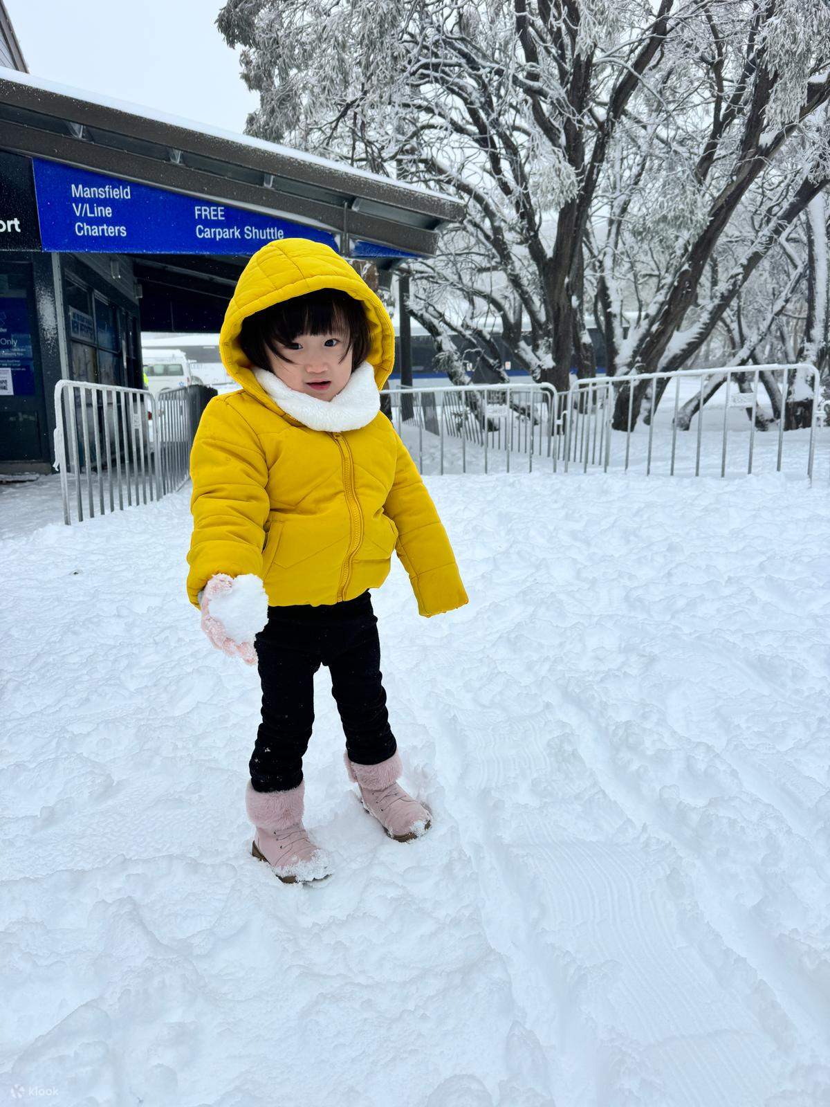 Private Mount Buller Snow & Ski Tour in Melbourne - Klook United Kingdom