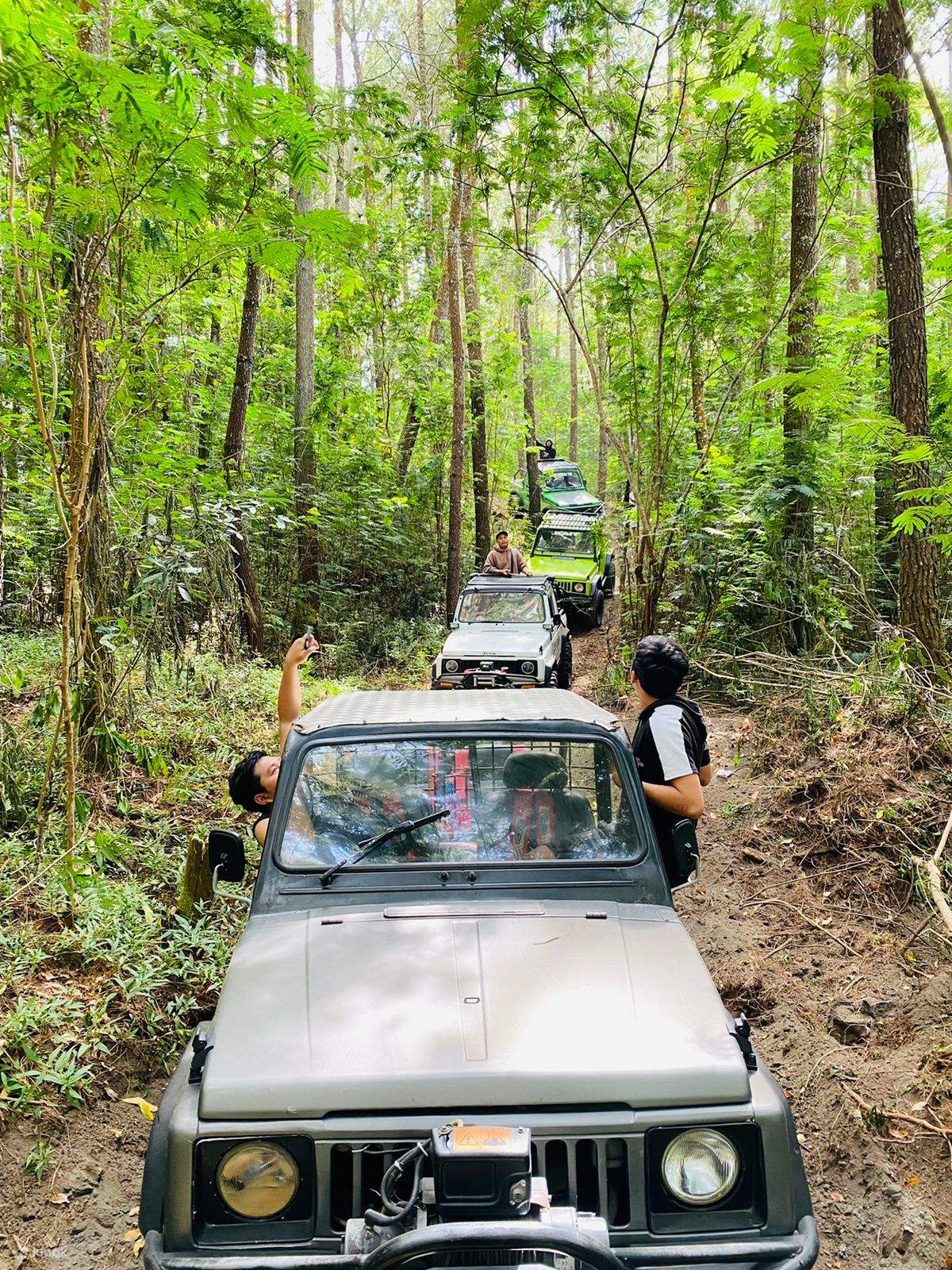Hutan Pinus (Pine Forest) Kintamani Off Road Jeep Trail Day Tour - Klook Malaysia