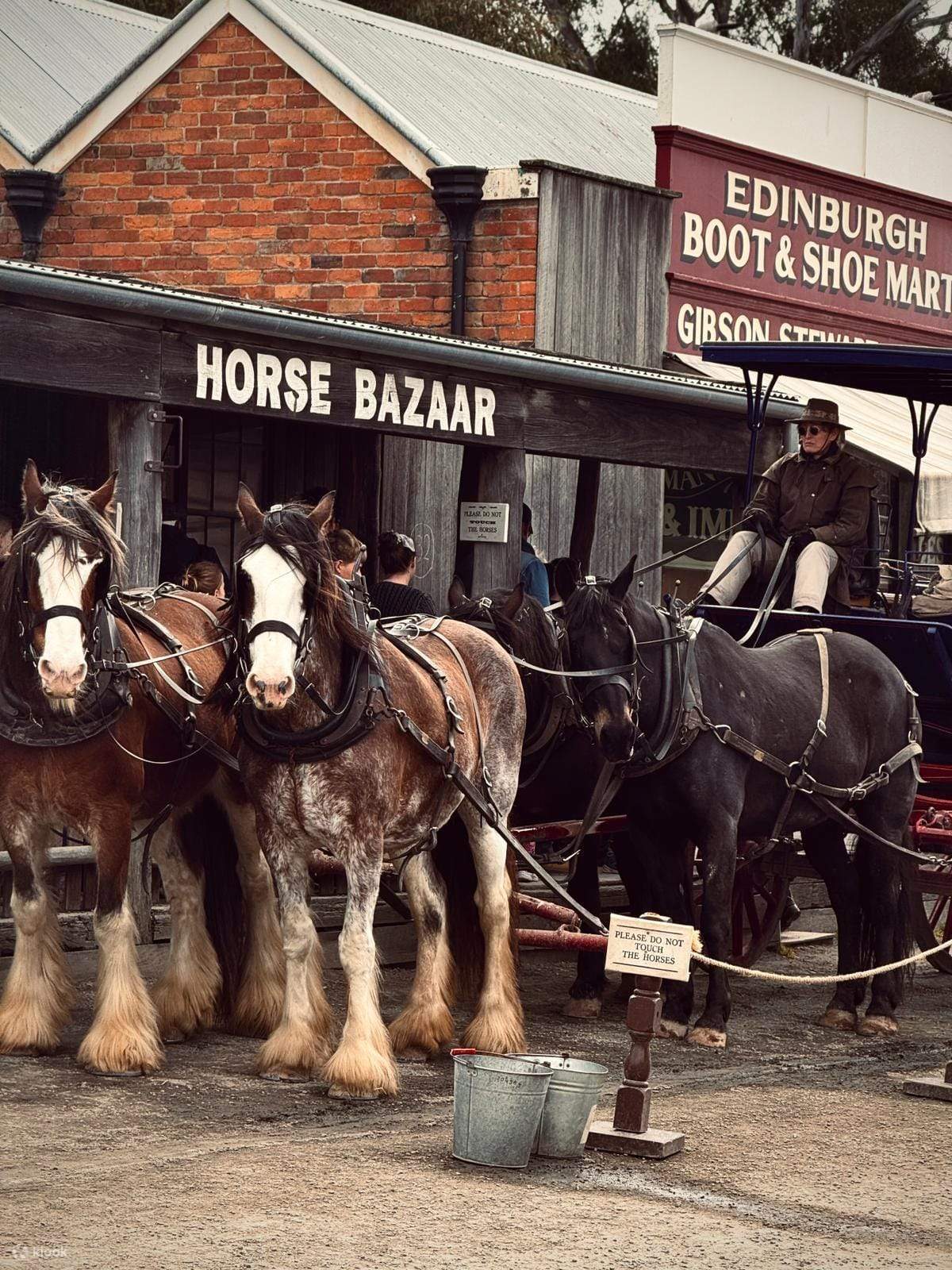 Ballarat Sovereign Hill Day Tour from Melbourne - Klook