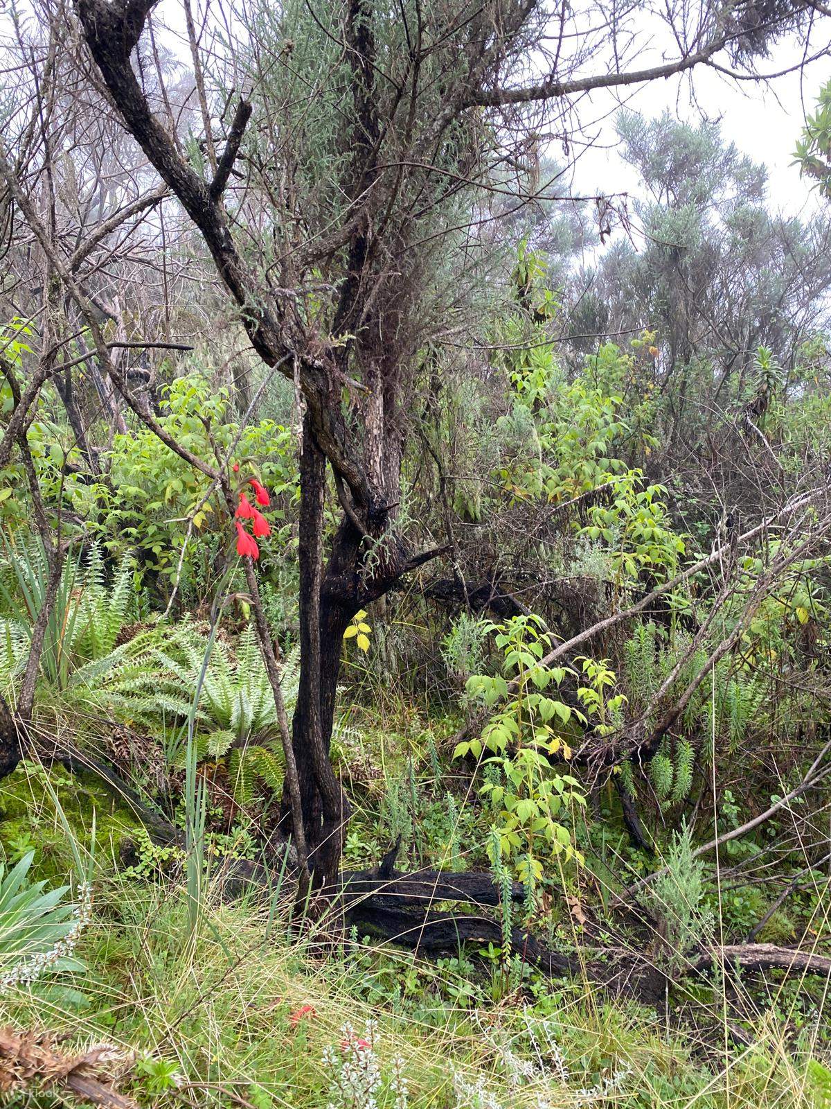 Discover Nature's Magic: One-Day Hike to the Enchanting Seven Ponds of ...