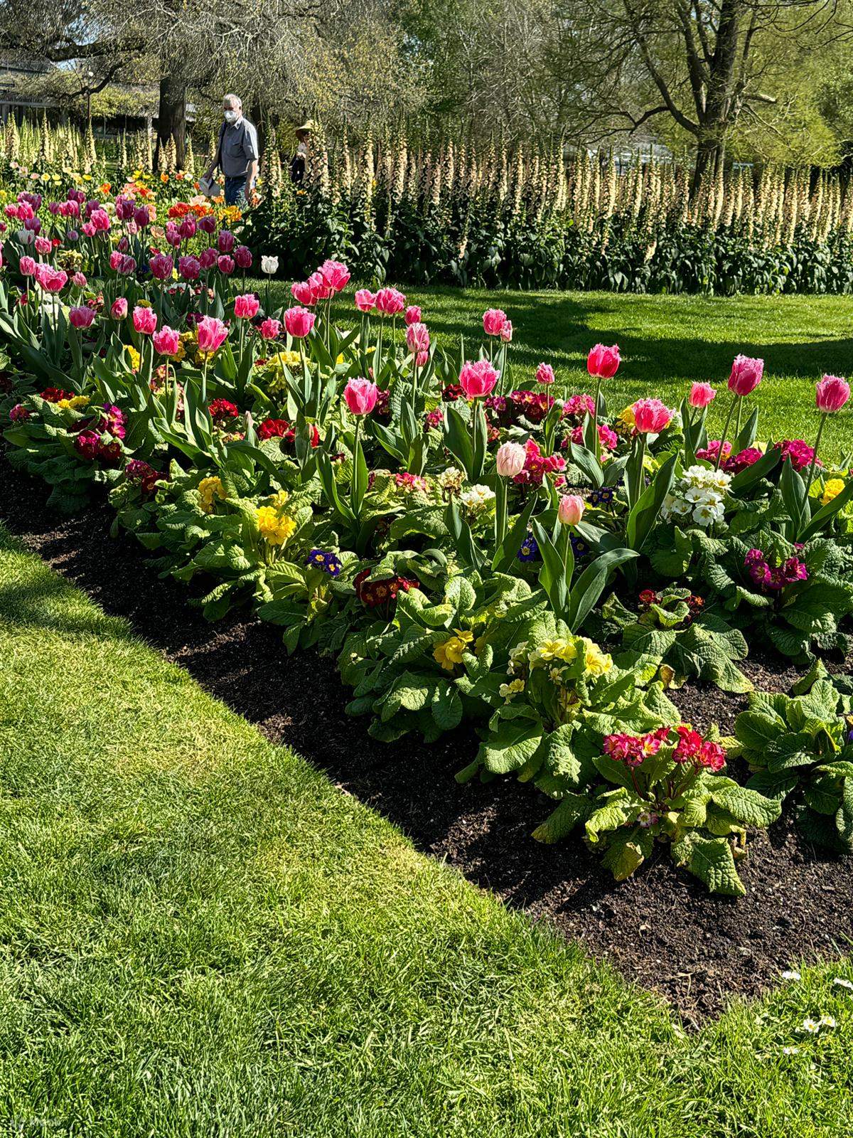Tur Sehari ke Bukit Sovereign Ballarat dari Melbourne - Klook Indonesia