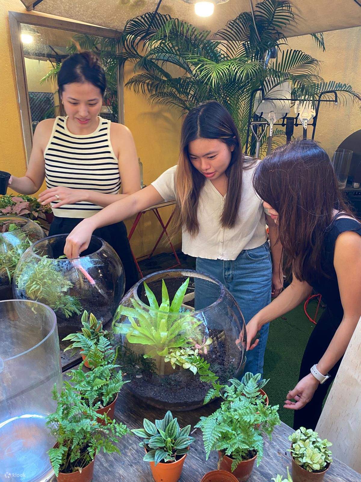 Lokakarya Terarium Besar di The Sundowner - Klook Indonesia