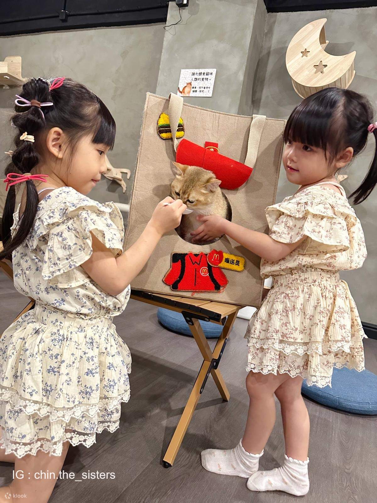 Kelly and Meows Cat Experience Center in Hong Kong - Klook