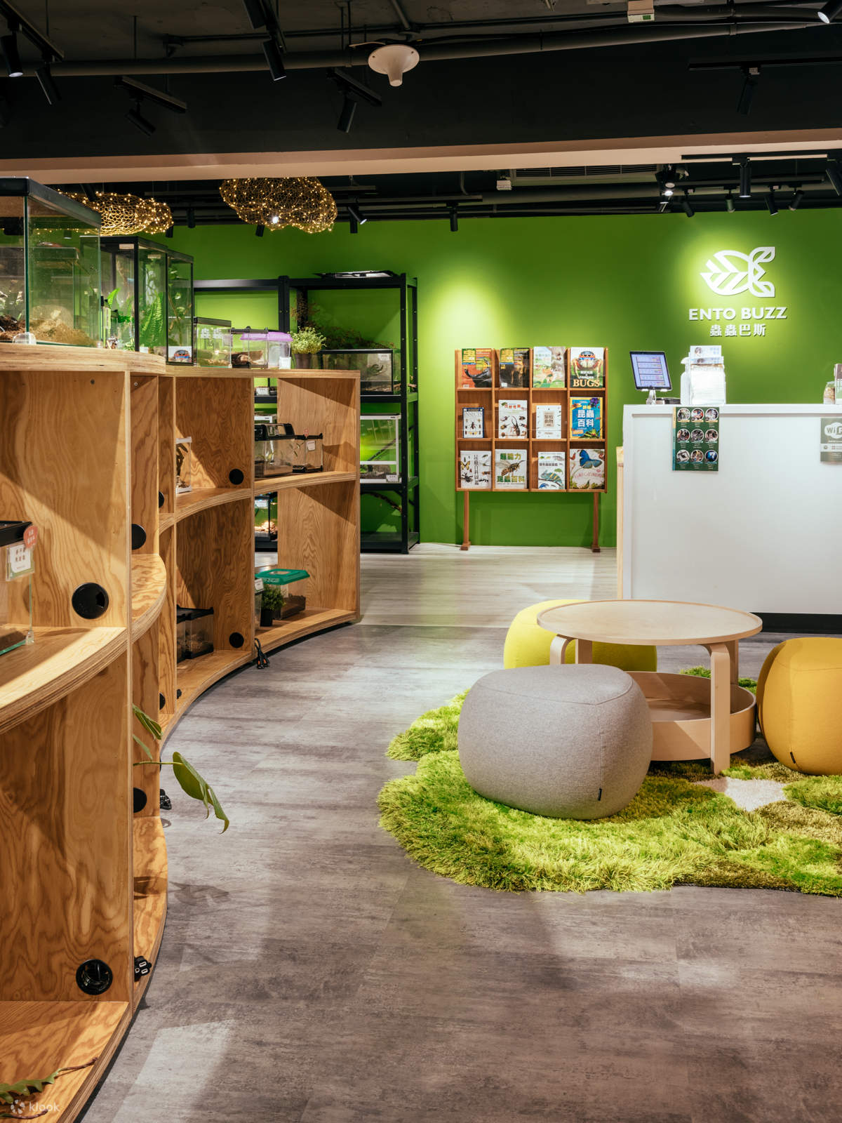 Taipei: Kunjungi dan Jelajahi Insektarium Bugs Bass - Klook Indonesia