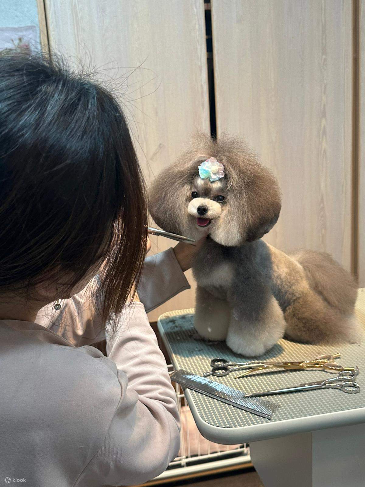 Paw Palace Japanese Pet Spa and Salon - Klook Hong Kong