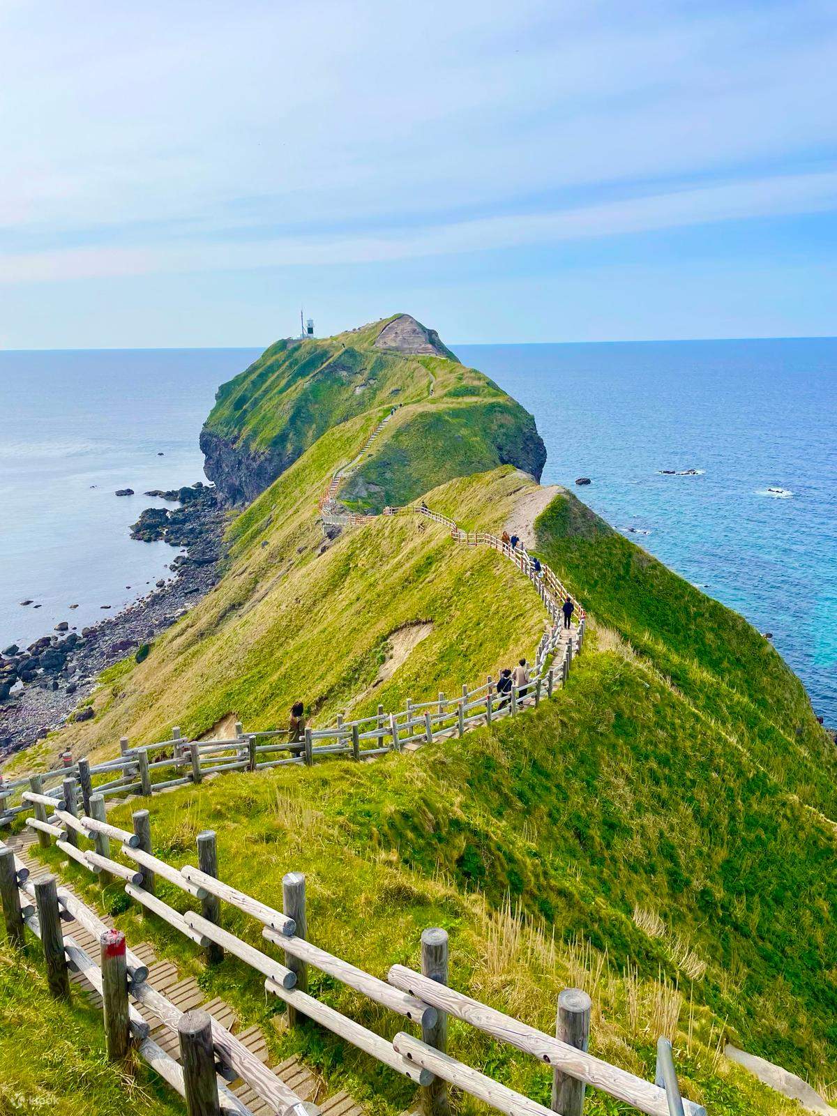 Hokkaido, Sapporo und Shakotan nehmen an einer Tagestour teil - Klook ...