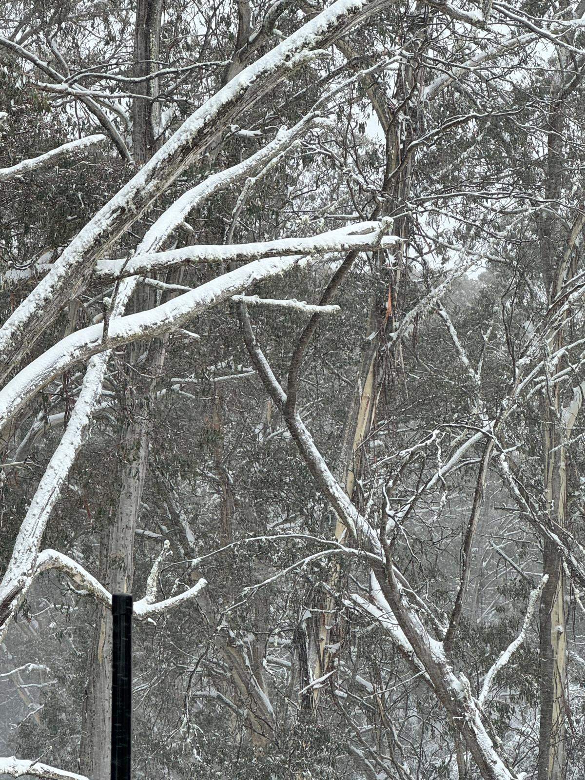 Private Mount Buller Snow & Ski Tour in Melbourne - Klook United Kingdom