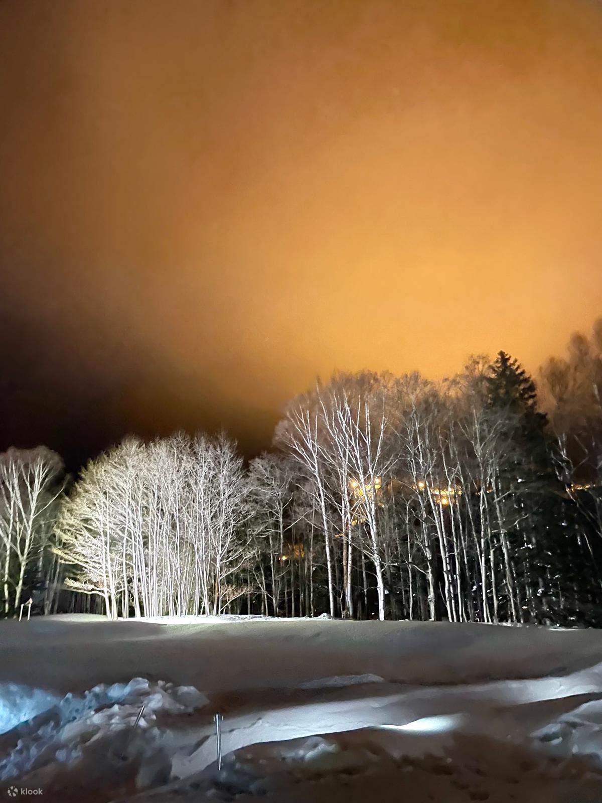 Lake Shikotsu Ice Falls Festival & Hoshino Tomamu Ice Village Day Trip ...