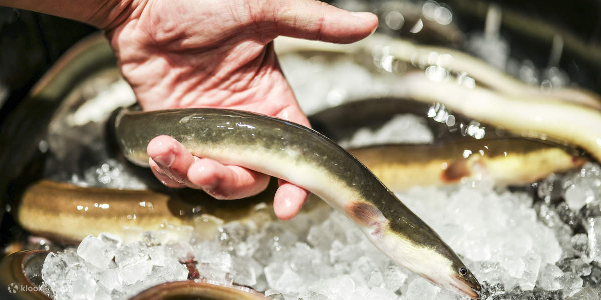 Eel Yondaime Kikukawa Eel Cuisine - Tokyo - Klook Philippines