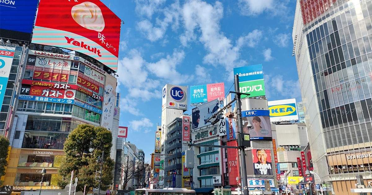Tokyo’s unique Islamic and Halal experience one-day tour (including ...