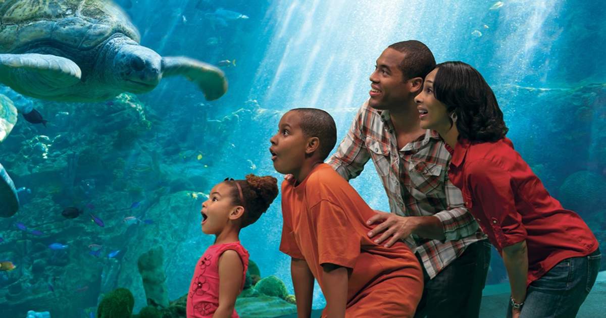 Top 10 Theme Parks And Amusement Parks In Anaheim, California - Updated ...