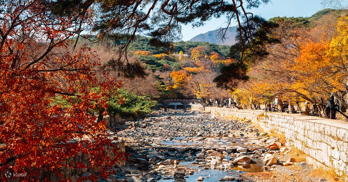 Busan: Snow Season Ice Valley Cable Car & UNESCO Spot Discovery Tour
