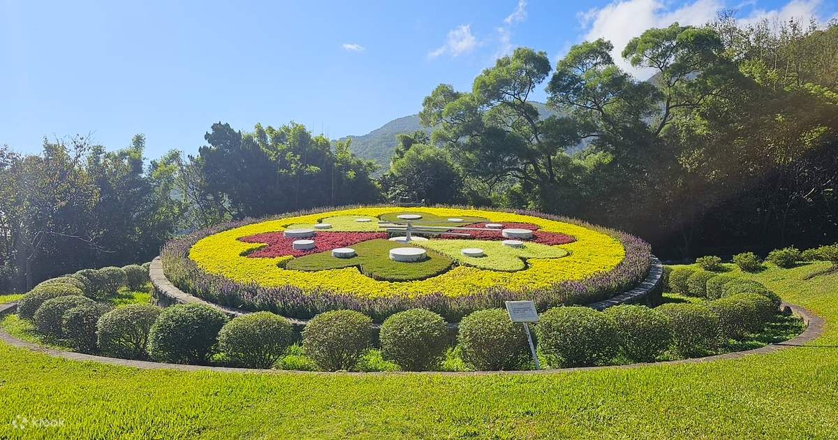 Beitou and Yangmingshan Day Tour in Taipei