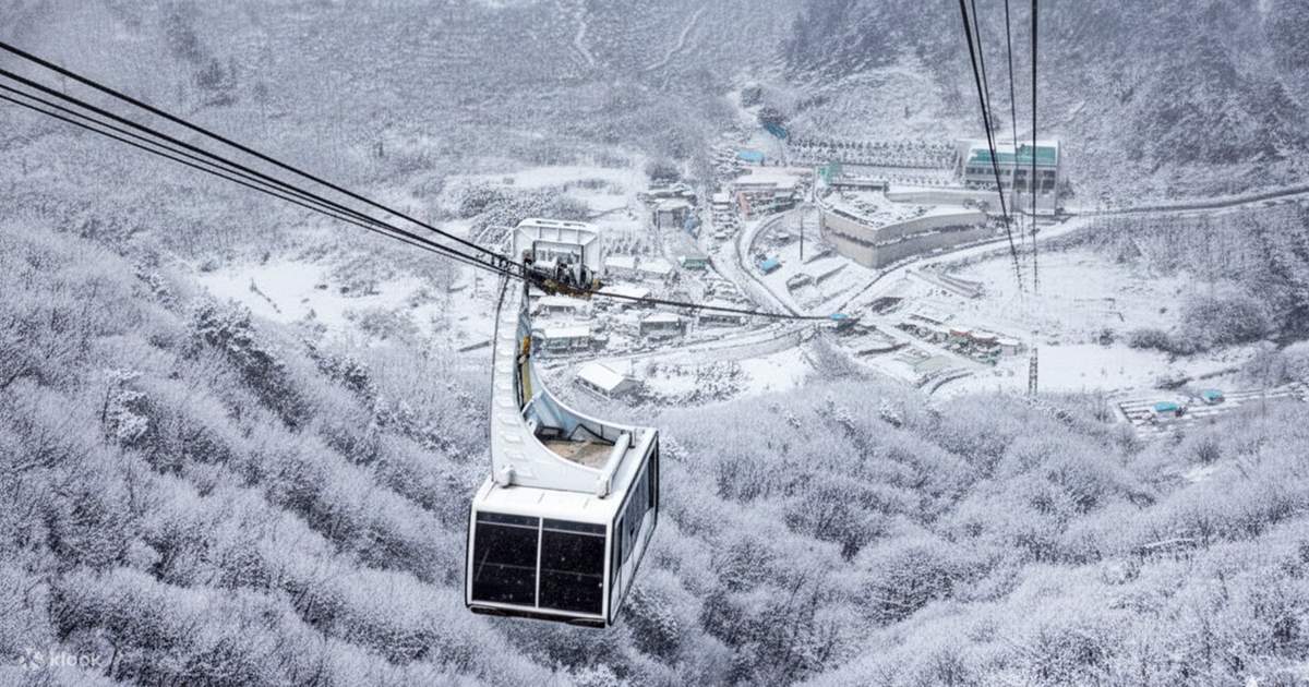 Busan: Snow Season Ice Valley Cable Car & UNESCO Spot Discovery Tour