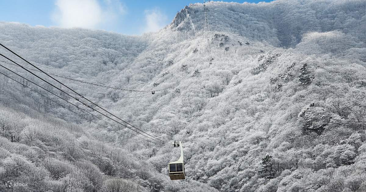 Busan: Snow Season Ice Valley Cable Car & UNESCO Spot Discovery Tour