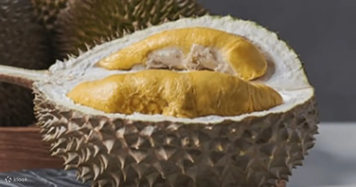 The Durian Story in Serangoon Delivery - Klook Canada Canada