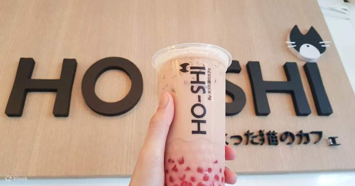 HOSHI Cake in Chiang Mai - Klook United States US