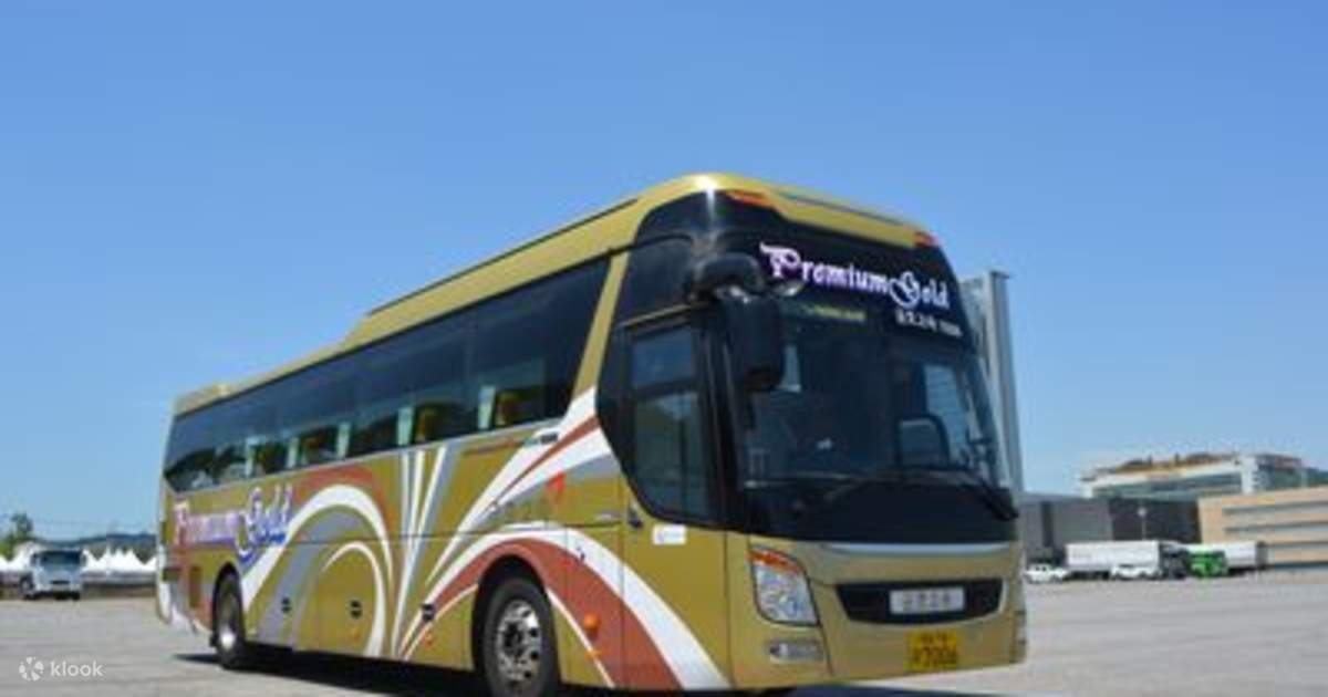 Seoul to Daegu - Express Bus Ticket