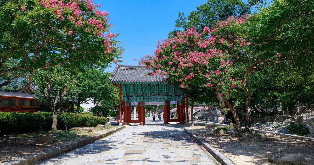 Busan: Snow Season Ice Valley Cable Car & UNESCO Spot Discovery Tour