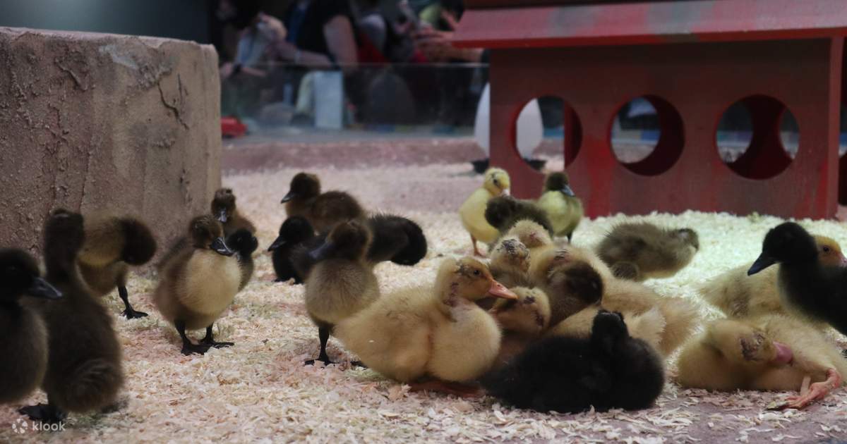 IOI City Farm Ticket in IOI City Mall Putrajaya