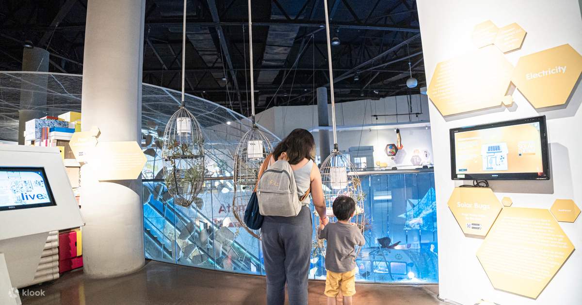 The Mind Museum BGC Ticket