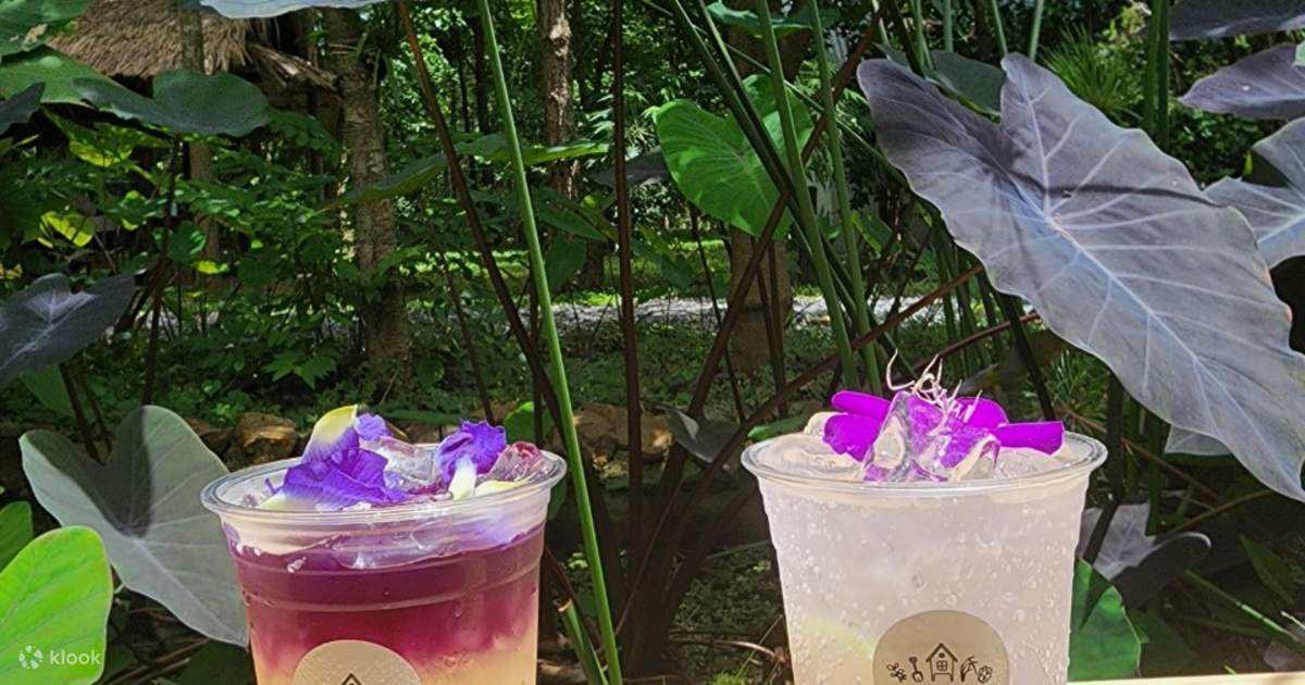 Mekin Farm in Khon Kaen - Michelin Bib Gourmand - Klook United States US