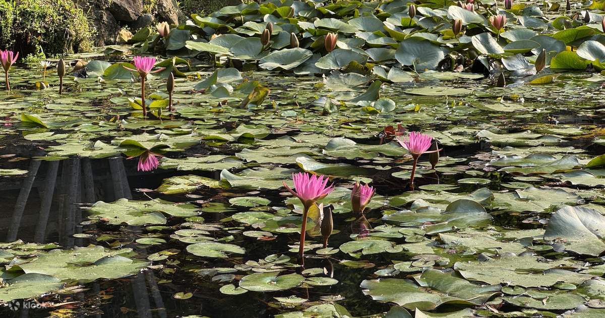 Yangmingshan & Beitou Day Tour (From Ximending)