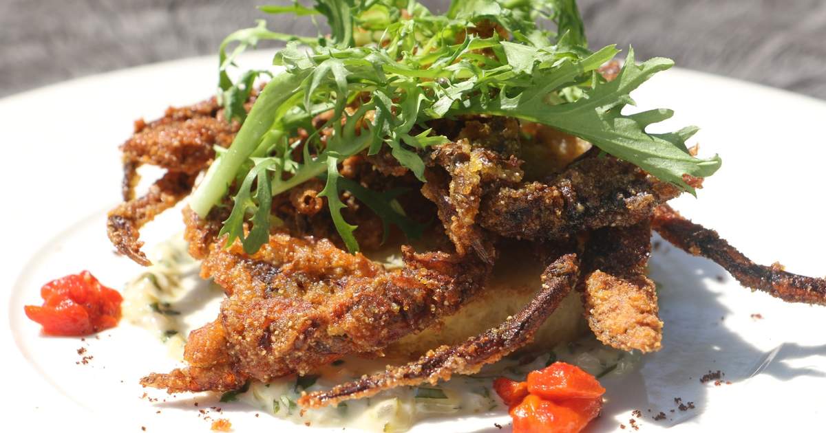 METIS Restaurant and Gallery, Bali - Klook India India