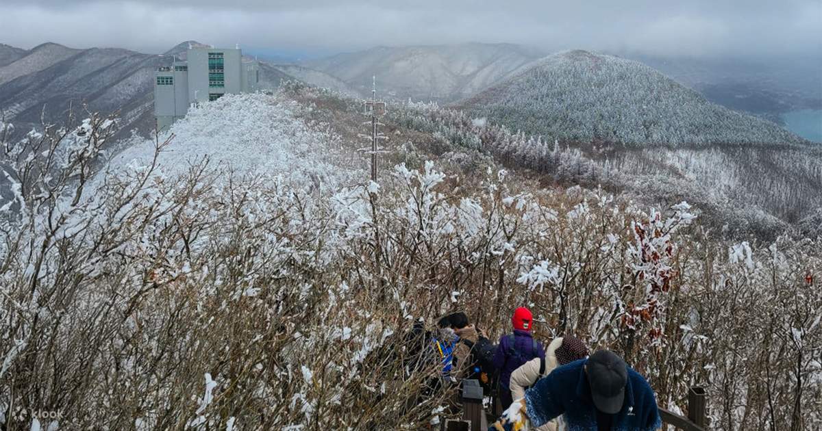 Busan: Snow Season Ice Valley Cable Car & UNESCO Spot Discovery Tour