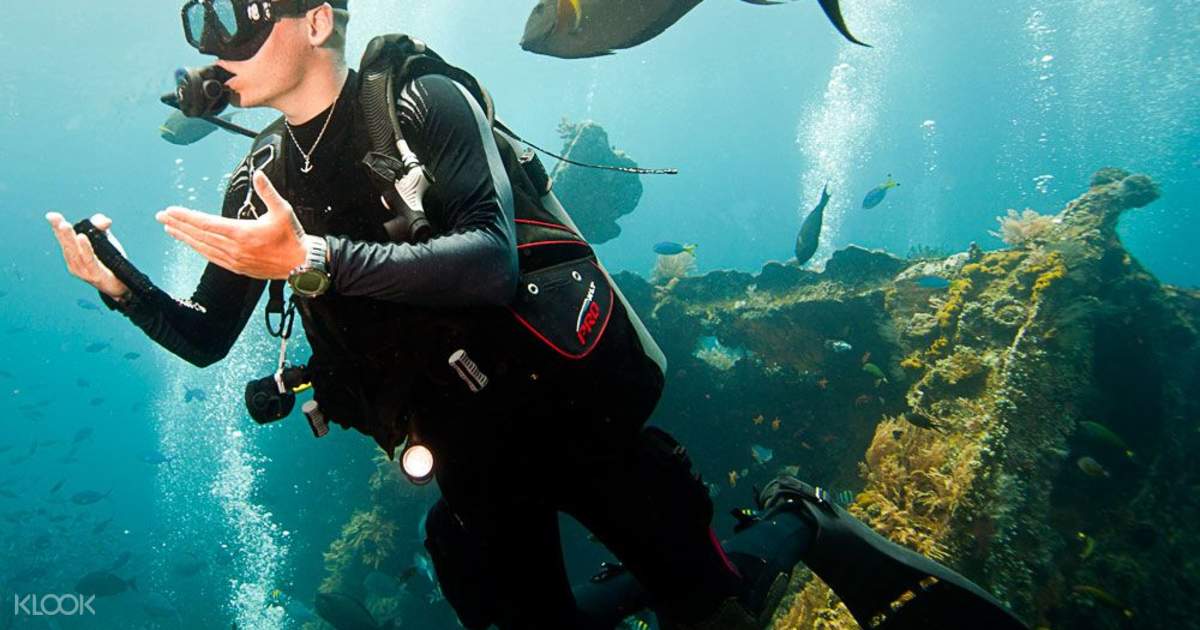 PADI Diving Courses