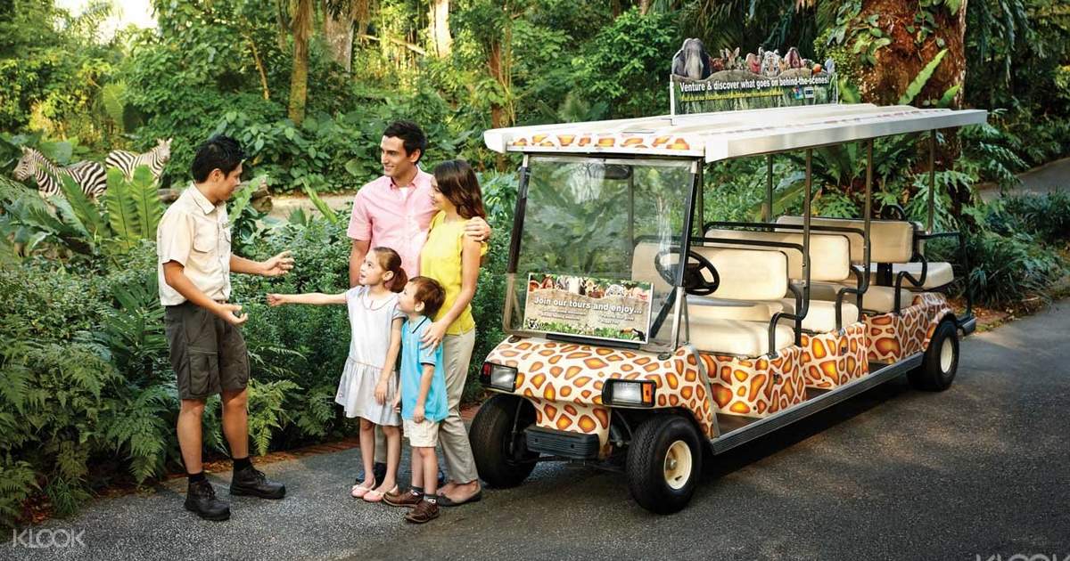 Singapore Zoo Breakfast - Klook Singapore
