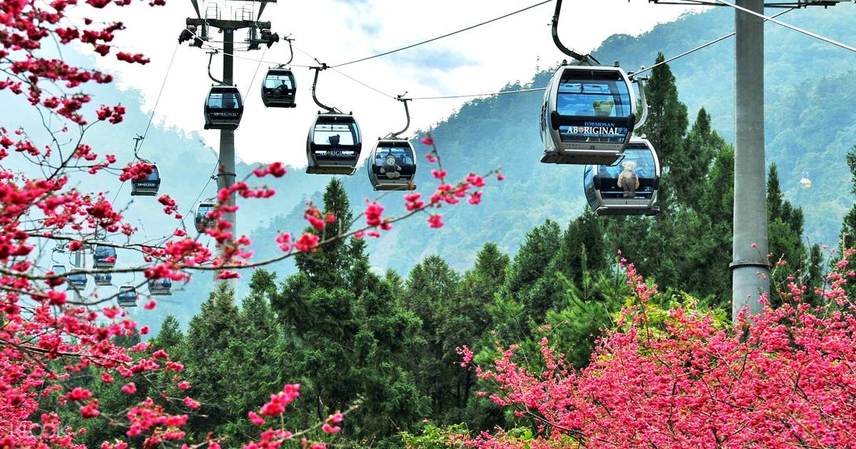 Cherry Blossom Festival at the Formosan Aboriginal Culture Village in ...