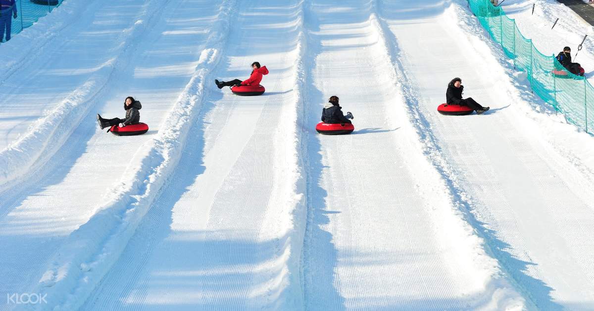 Vivaldi Park Snowy Land One Day Self Guided Tour in Gangwon-do - Klook