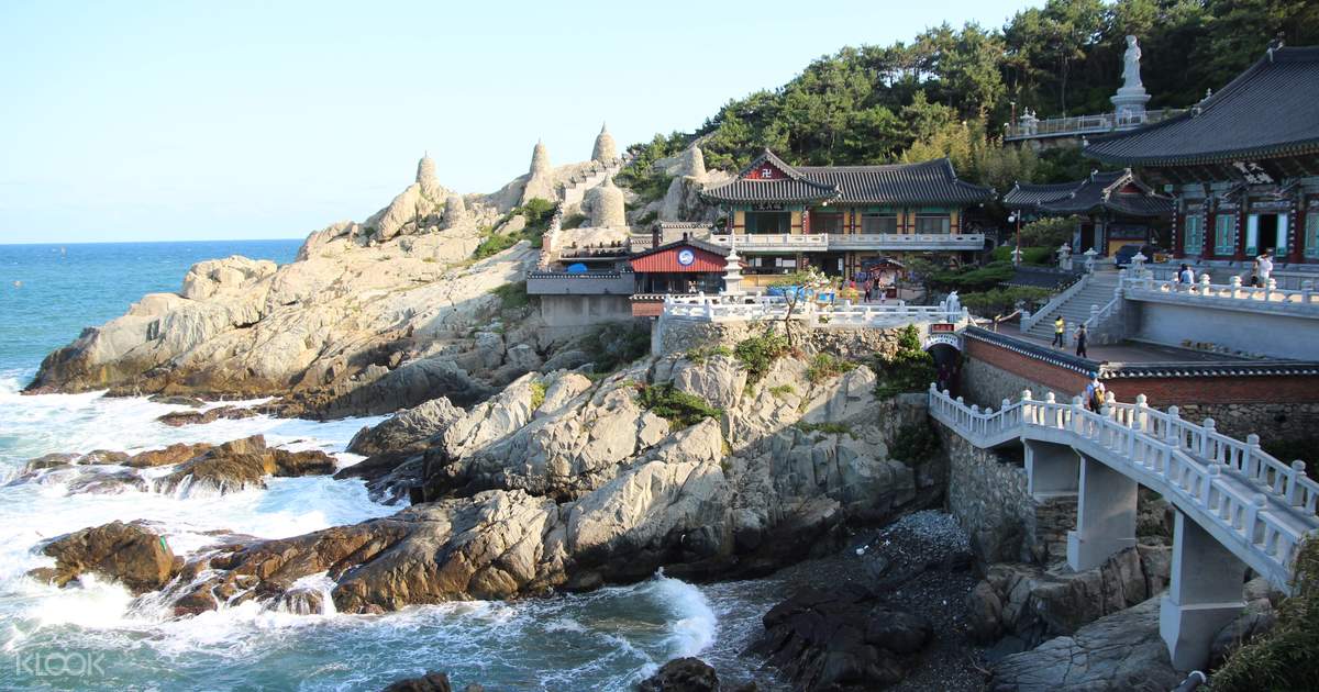 East Busan Morning Exploration Tour - Klook