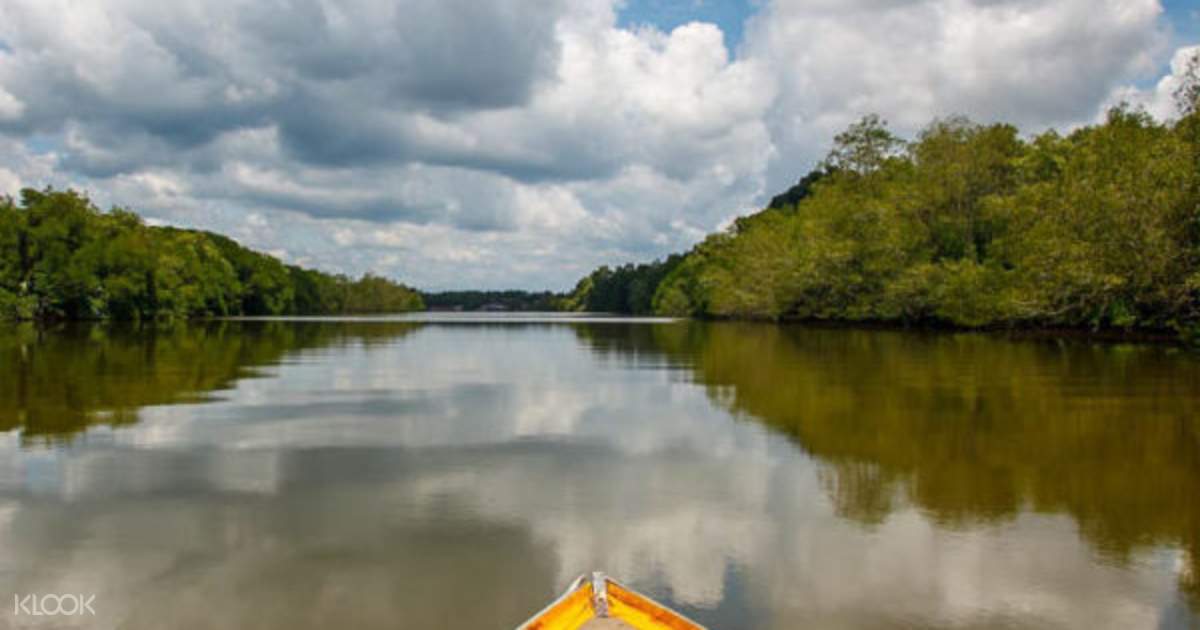 Proboscis Monkey Encounter Tour in Brunei