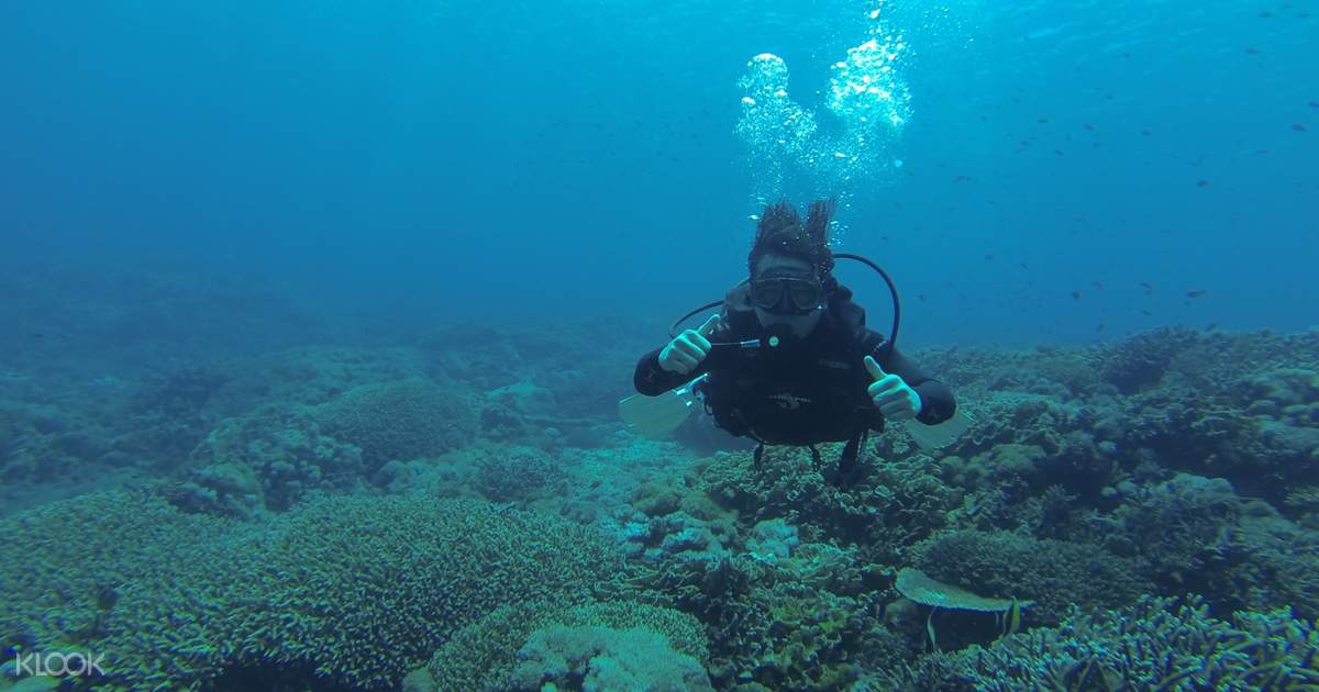 Bali Beginner Scuba Diving Experience, Indonesia - Klook