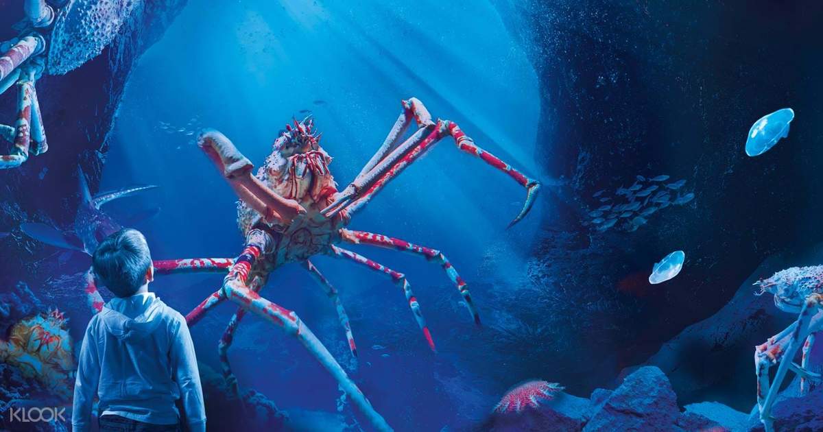 SEA LIFE Manchester Aquarium Ticket