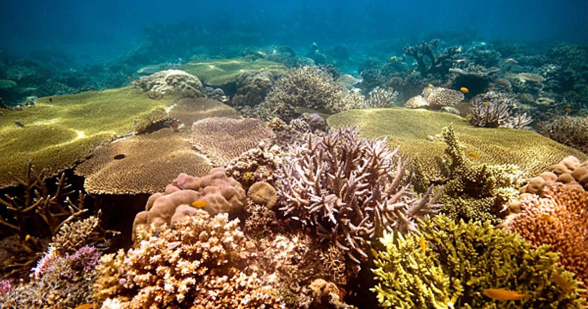 Coron Super Ultimate Day Tour