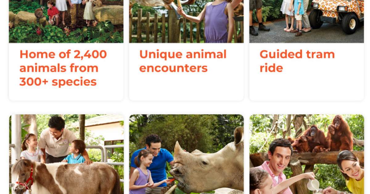 Buy Singapore Zoo Tickets Online - World Famous 'Open Concept' Zoo ...