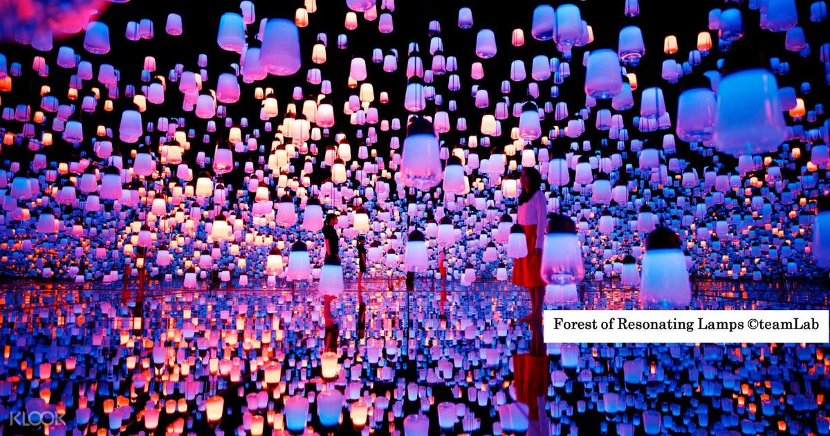 teamLab Tokyo Historical Full Day Tour - Klook Philippines