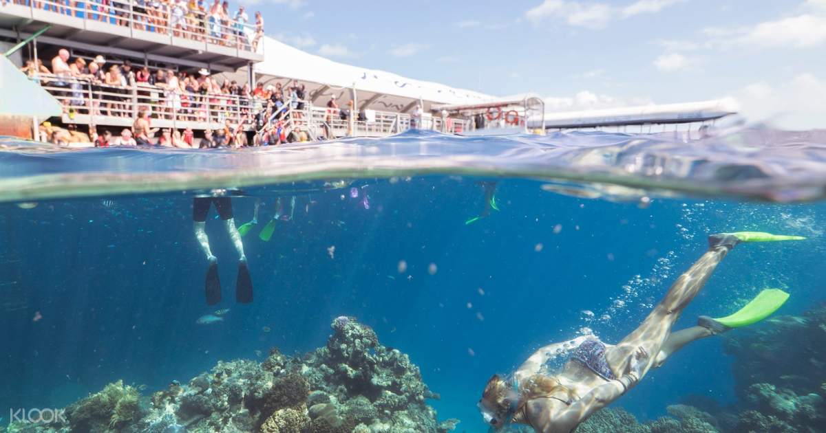 Great Barrier Reef Marine World Pontoon Cruise Tour from Cairns - Klook ...