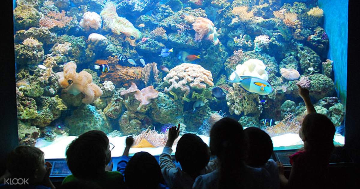 Ocean Adventure Admission Ticket in Subic Bay, Manila, Philippines