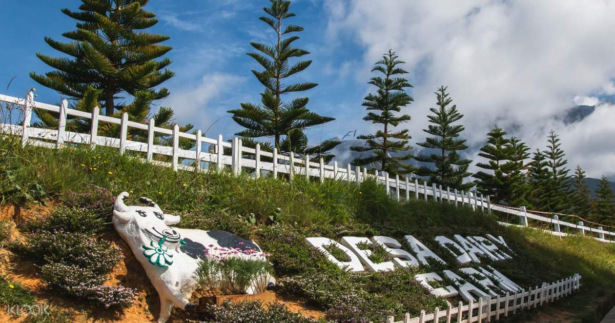 Mt. Kinabalu Farm Day Tour, Sabah, Malaysia - Klook Malaysia