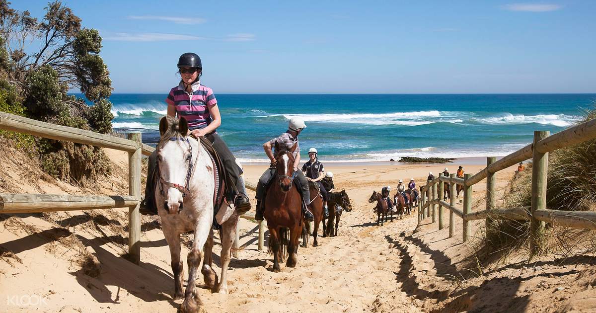 Beach Horse Riding in Mornington Peninsula - Klook Australia