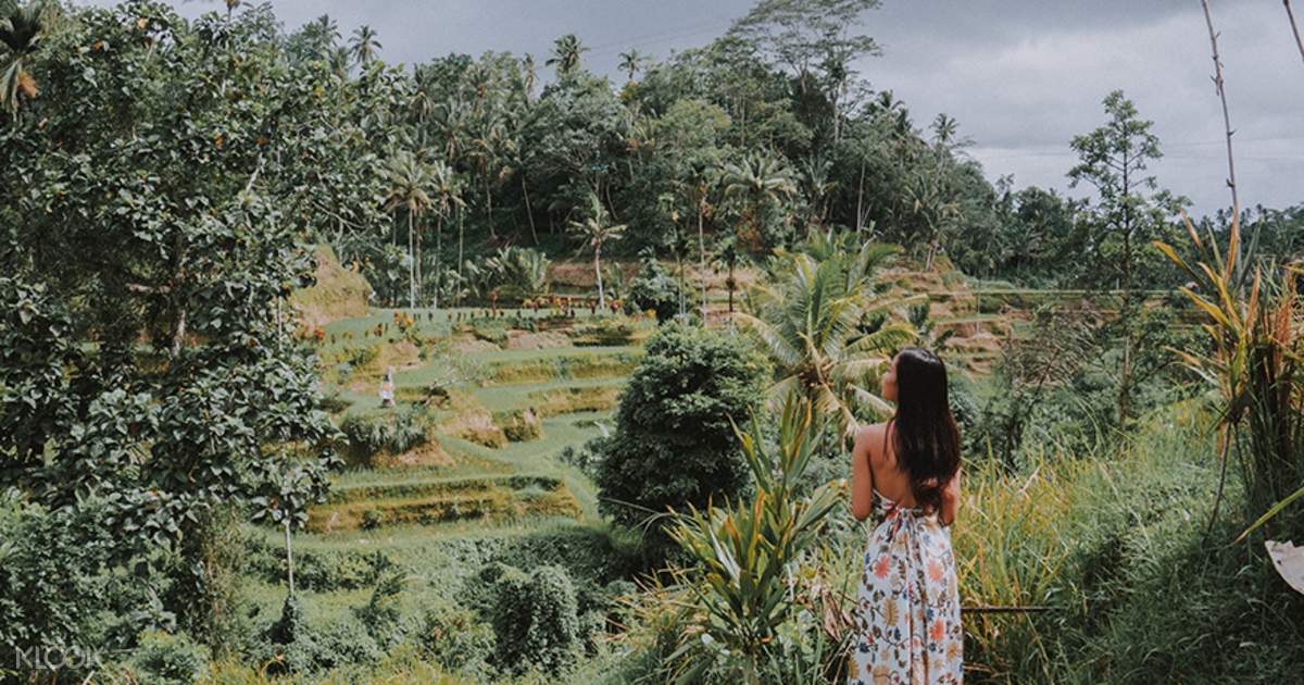 Private Ubud Trip in Bali, Indonesia