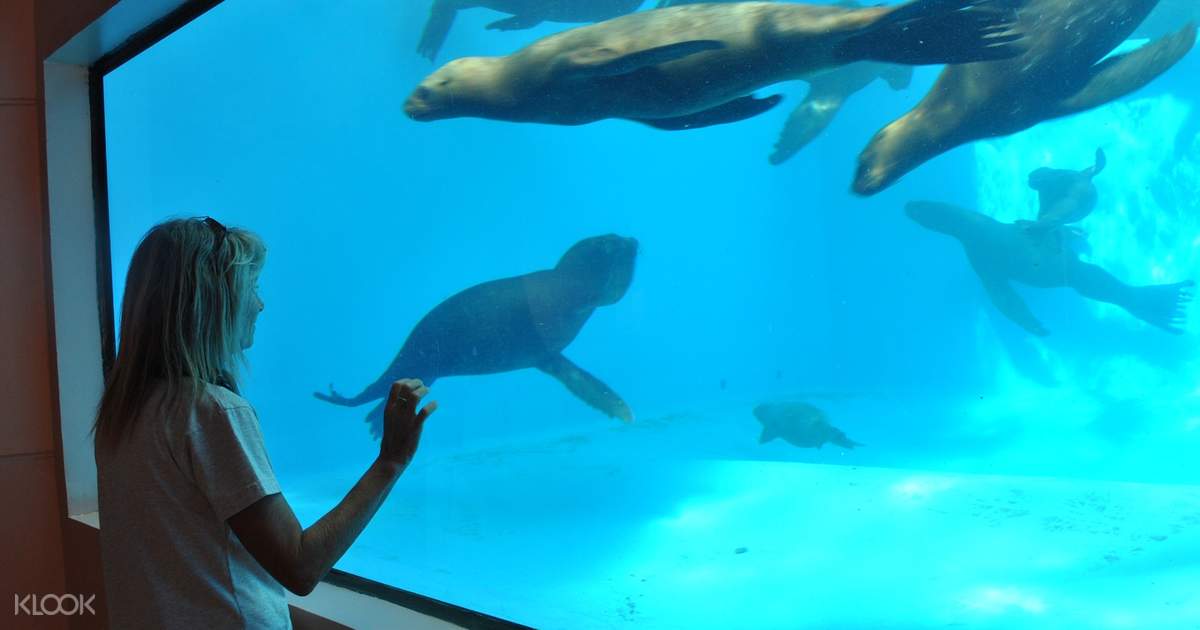 Ocean Adventure Ticket in Subic Bay - Klook Philippines