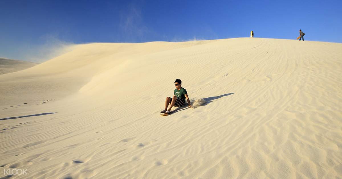 Pinnacle Desert Explorer with Lancelin Sandboarding Full Day Tour