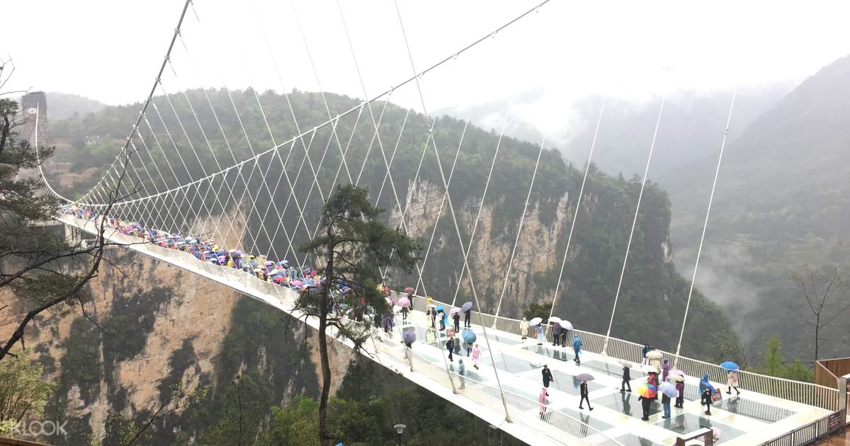 Zhangjiajie Grand Canyon and Glass Bridge Discount Tickets Zhangjiajie ...