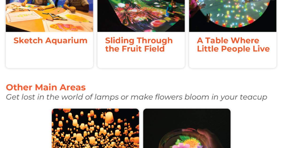 teamLab Borderless Entrance Pass in Tokyo, Japan - Klook Australia