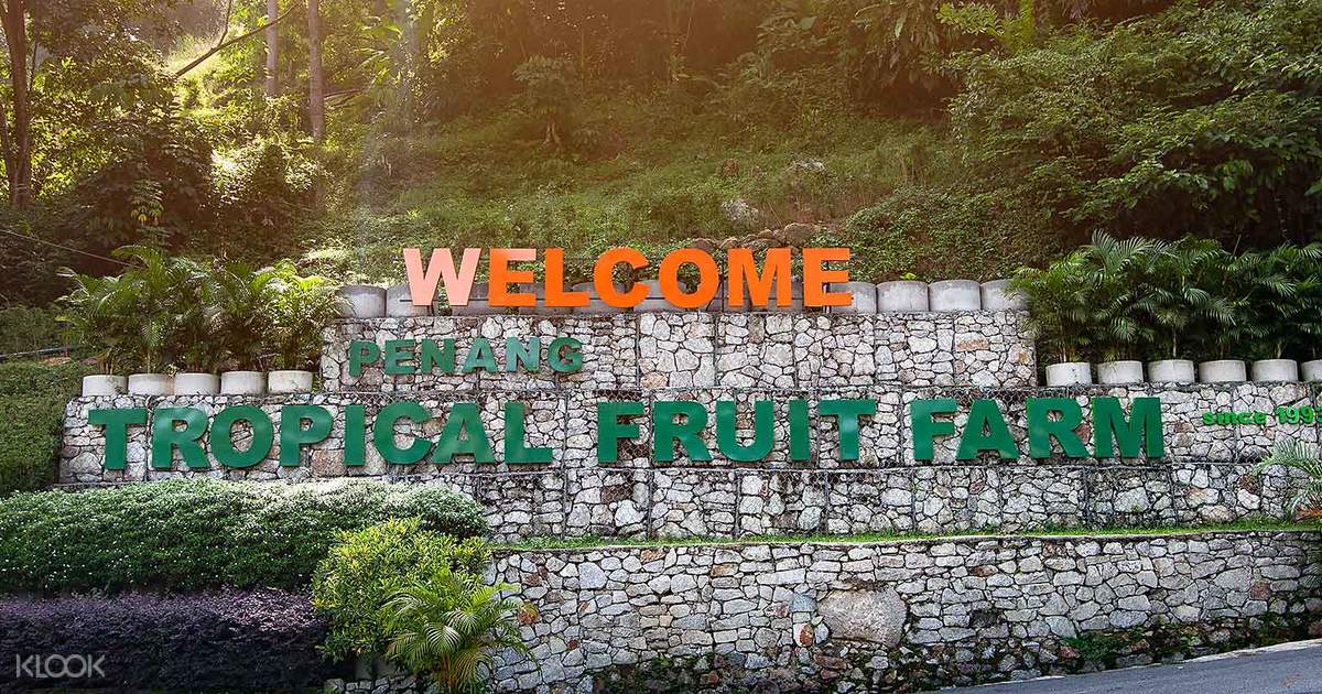 Up to 10% Off | Penang Tropical Fruit Farm Join In Walking Tour - Klook ...